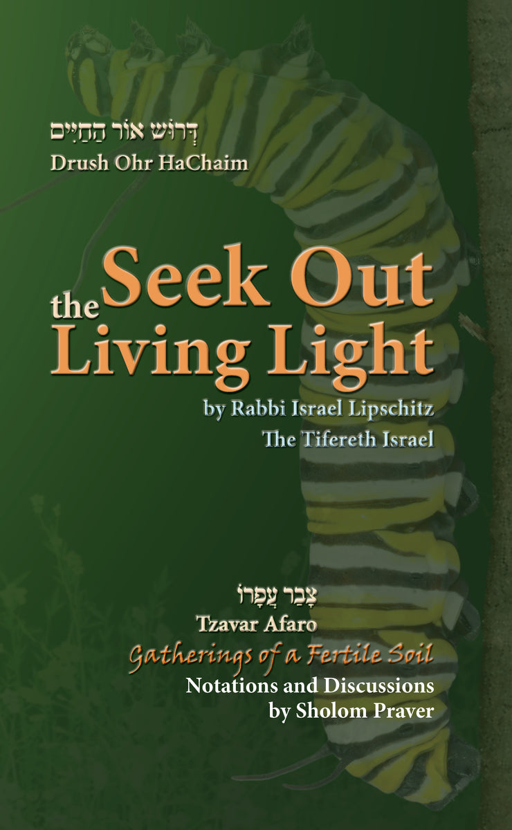 Seek Out the Living Light – Ktav Publishing House